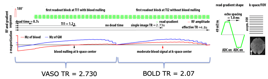 SS-SI-VASO Sequence Manual – layer fMRI blog