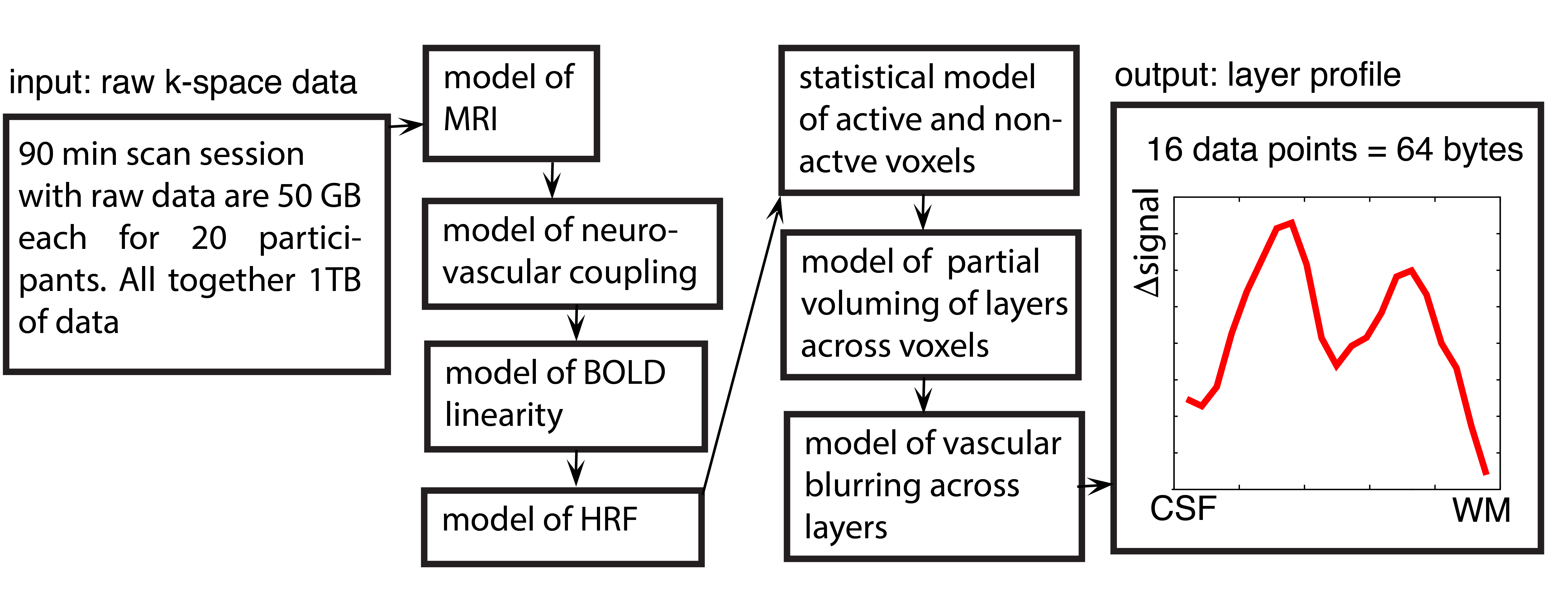 layer fMRI blog