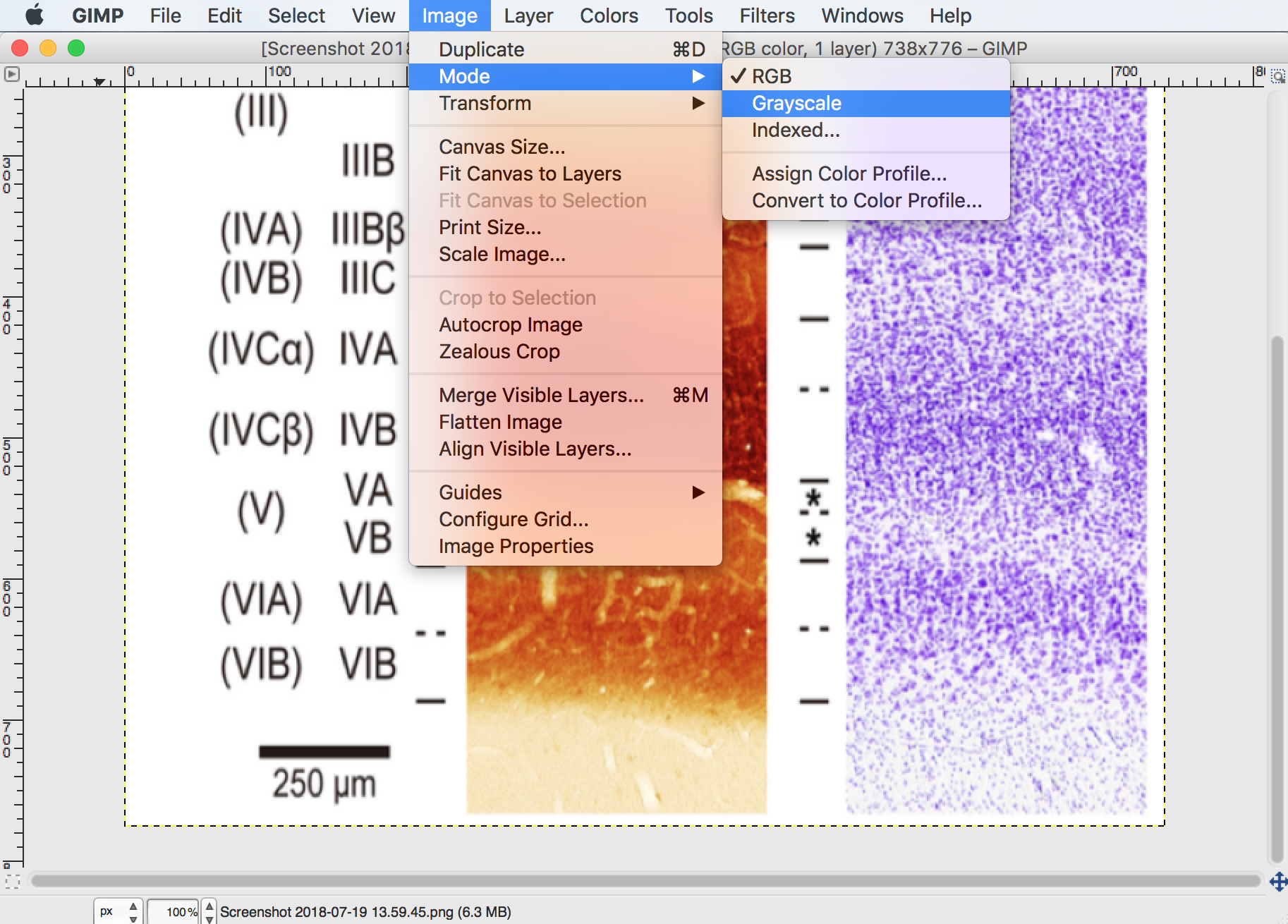 How to convert any paper figure into a layer-profile – layer fMRI blog