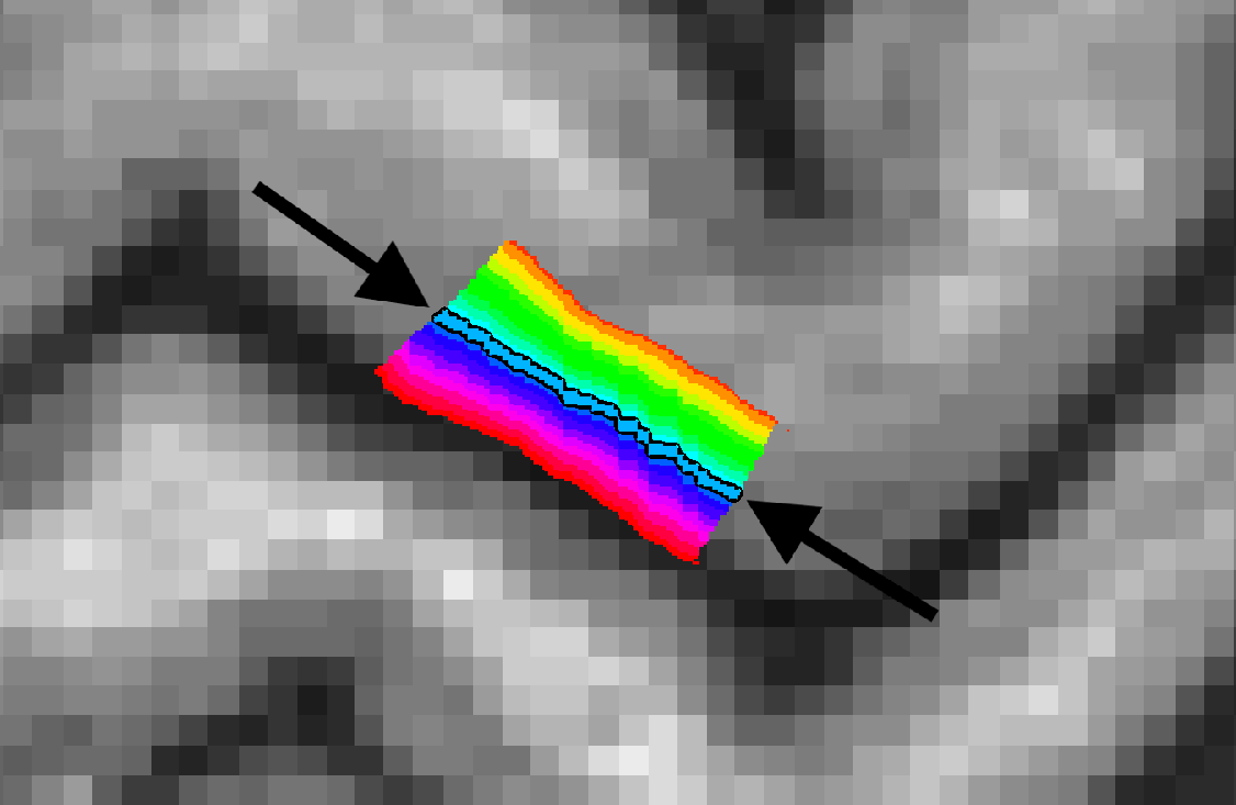 How many layers should I extract? – layer fMRI blog