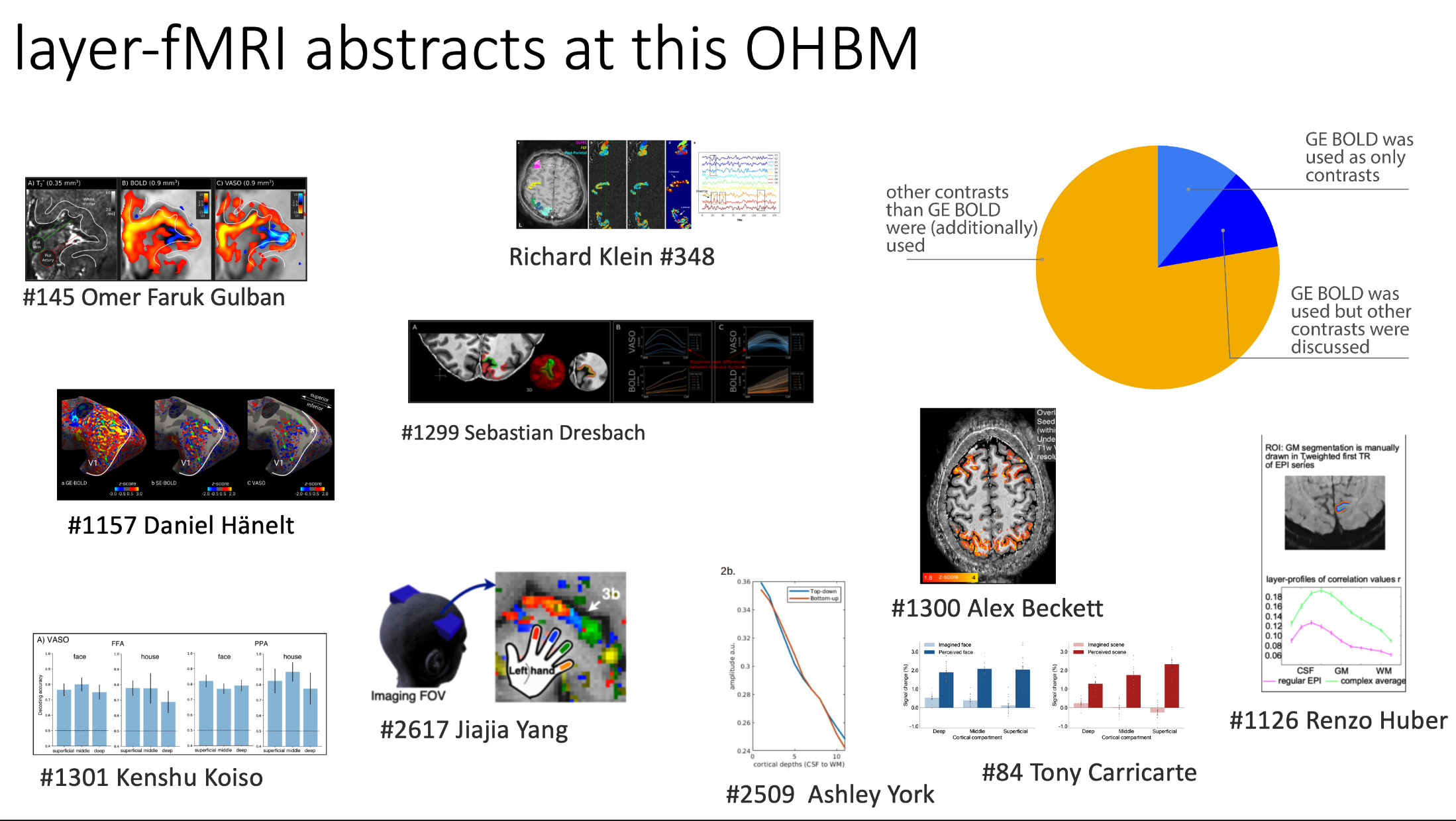 Layer-fMRI abstracts 2023 – layer fMRI blog