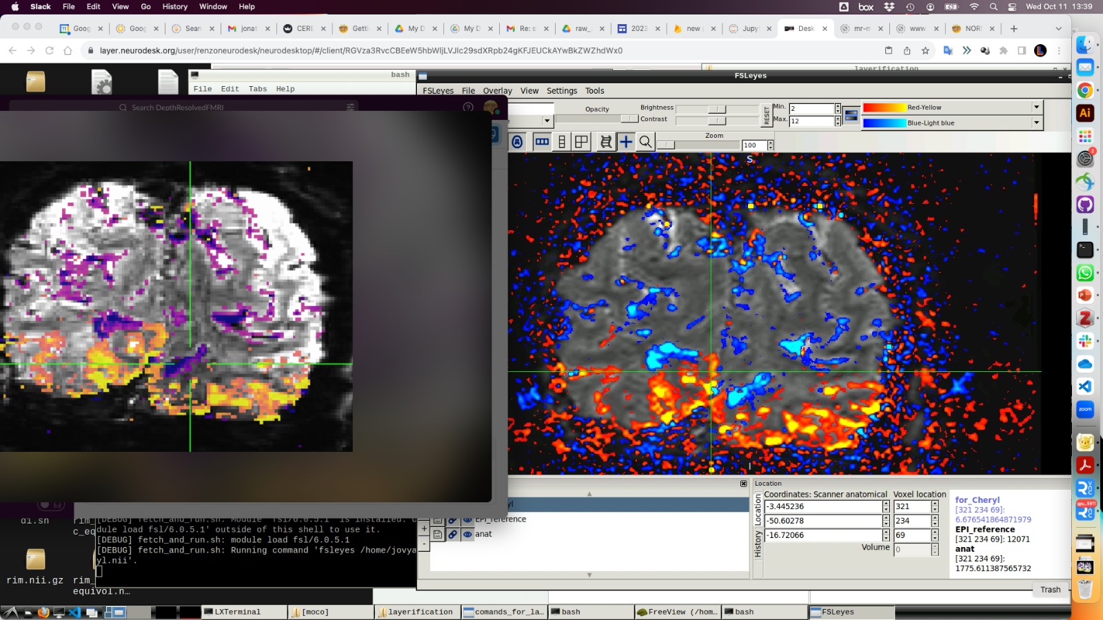 layer fMRI blog